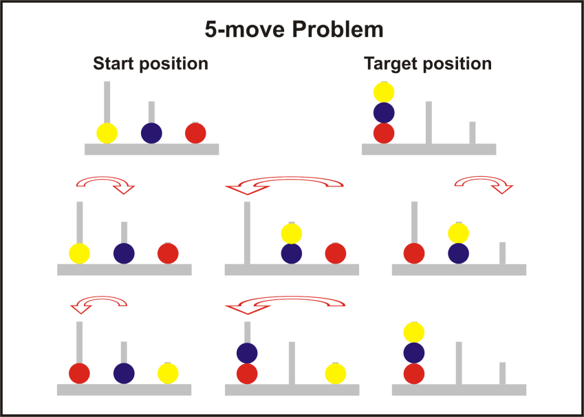 Level 15 - Intro To Clinical Neuropsycho… - Memrise