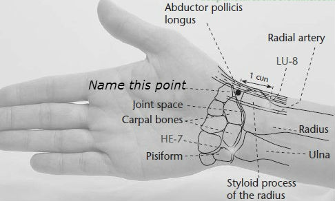 Level 3 - Acupuncture points (upper e... - Memrise