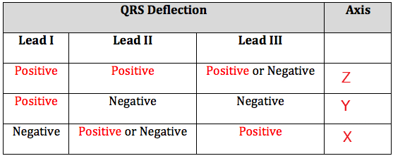Level 2 - EKG Basics - EKG - Memrise