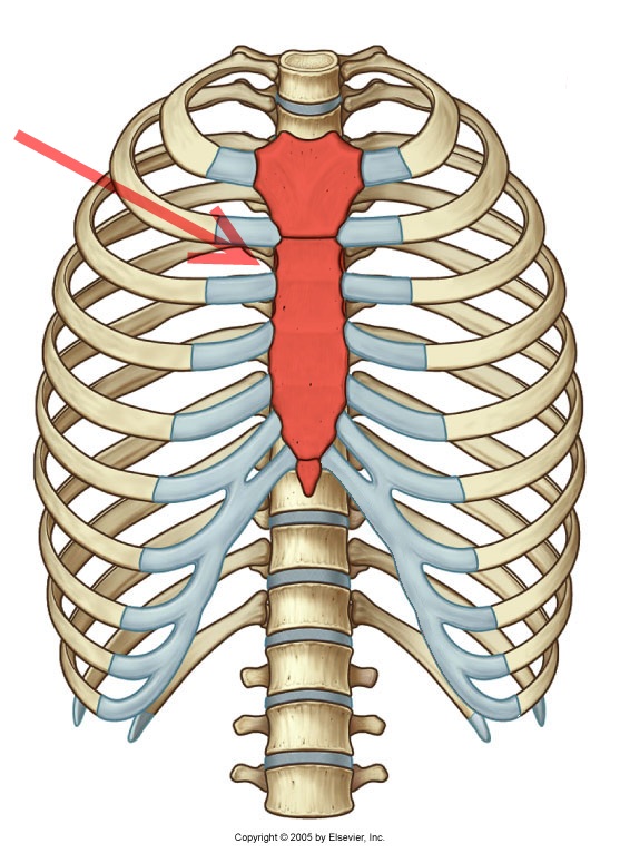 Level 4 - Durham University Medicine (Y… - Memrise
