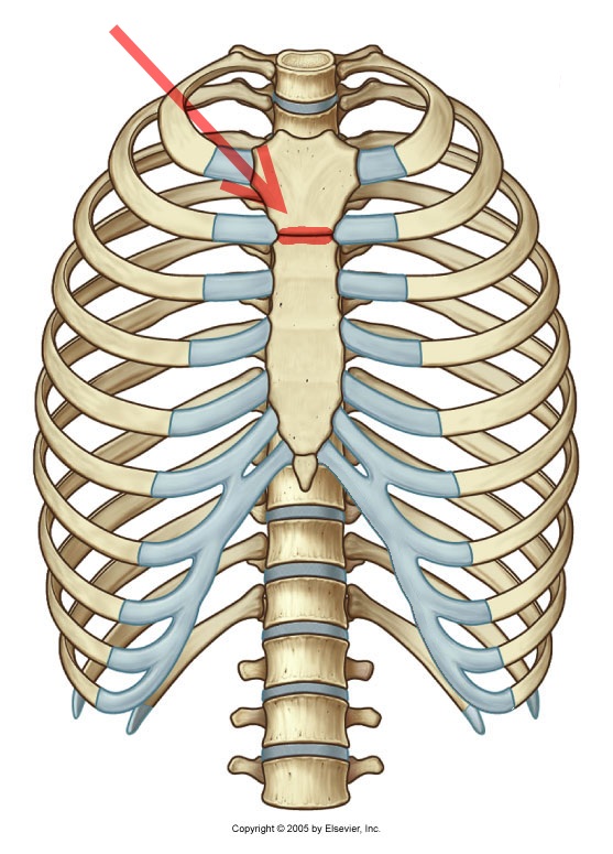 Level 2 - Durham University Medicine (Year One) - DEUTSCH, - Memrise