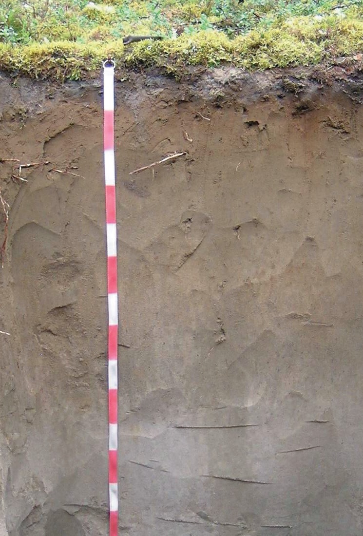 Level 2 - EU soil classification - Soil - Memrise