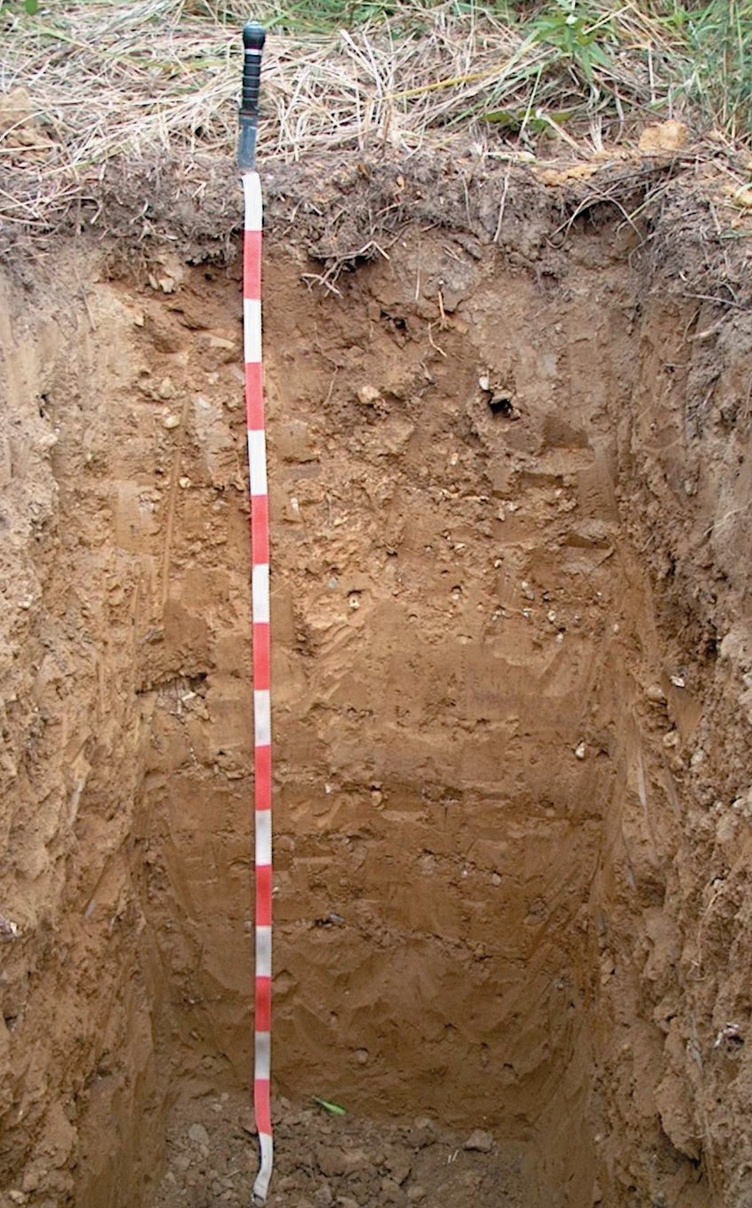 Level 2 - EU soil classification - Soil - Memrise