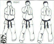 Level 2 - Kyokushin, - Memrise