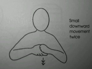 Level 1 - The Basics - Makaton - Memrise
