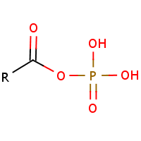 Level 5 - Organic chemical structures - Memrise